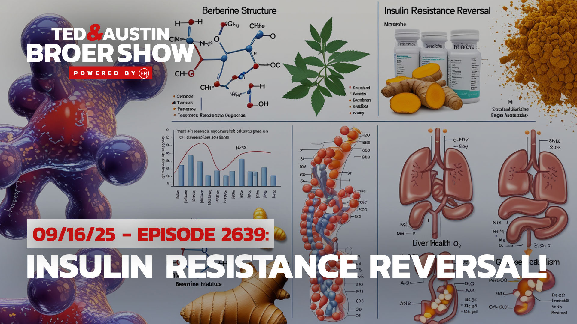 Berberine Breakthrough: 5X Better Bioavailability for Blood Sugar ...